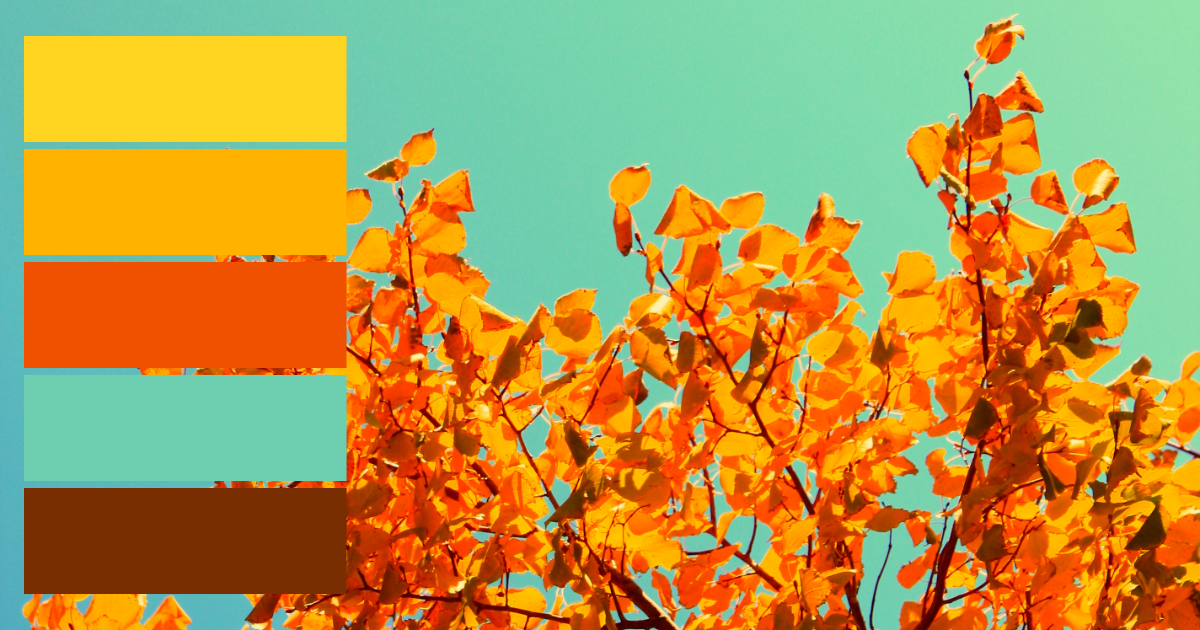 Colour Palette Ideas for Your Next Yearbook - Spacific Creative