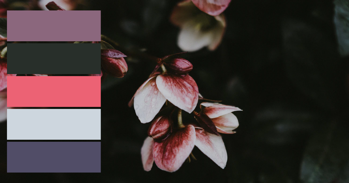 Colour Palette Ideas for Your Next Yearbook - Spacific Creative