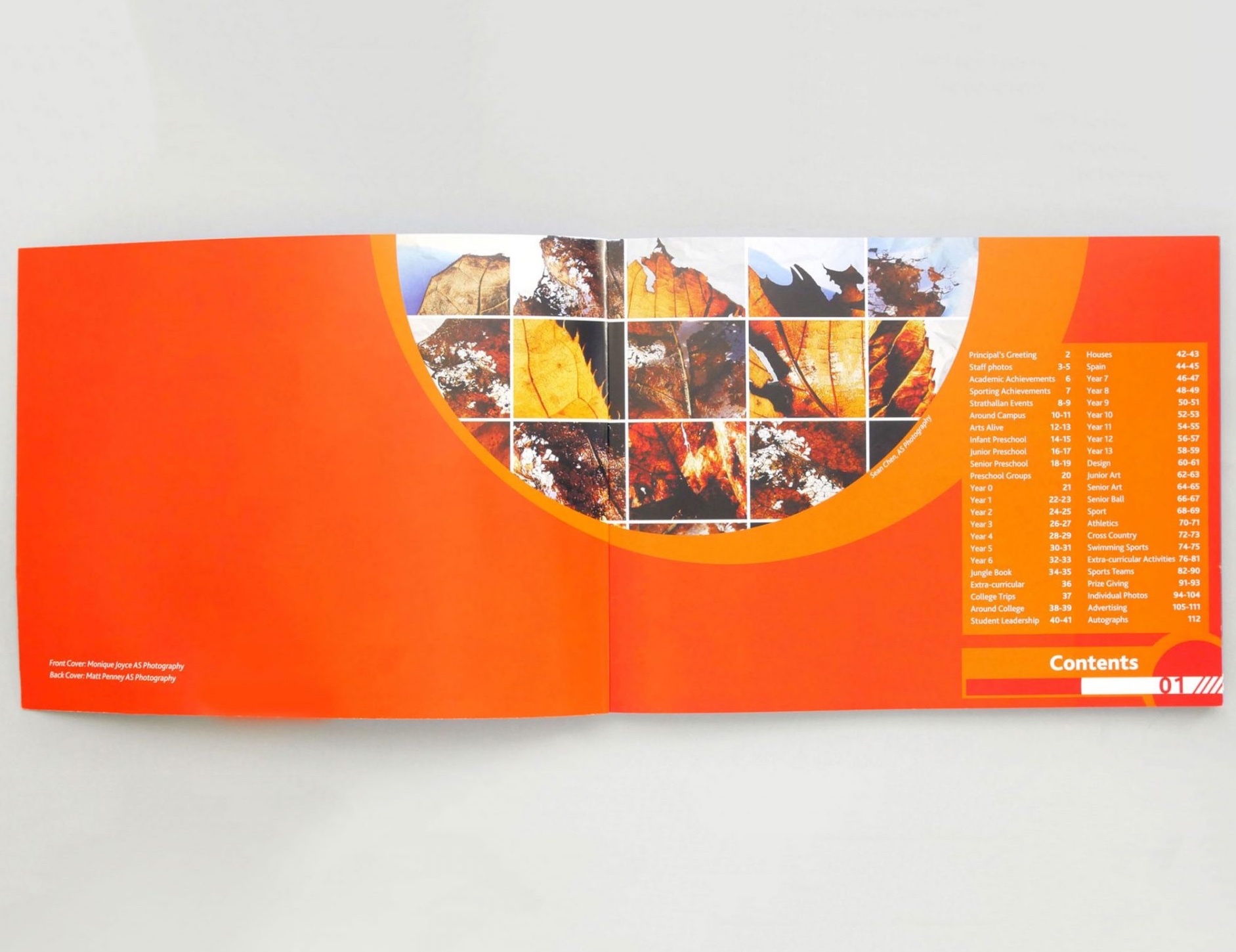 Colour Palette Ideas for Your Next Yearbook - Spacific Creative