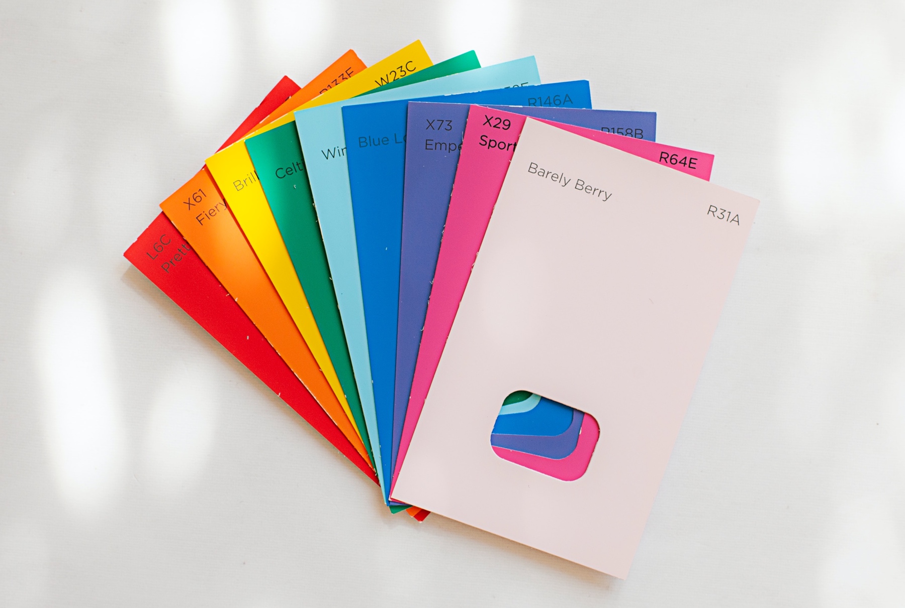 Colour Palette Ideas for Your Next Yearbook - Spacific Creative