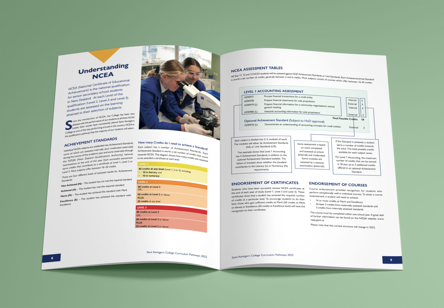 Course & Curriculum Guides That Are Easy to Follow - Spacific Creative