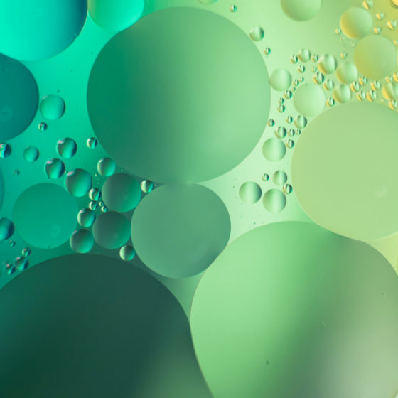 How to Create a Stunning Yearbook - YOLO